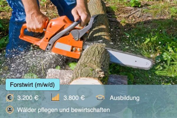 Forstwirte : Einstieg, Aufstieg, Einkommen, Ausbildung