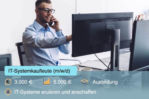 IT-Systemkaufleute : Einstieg, Aufstieg, Einkommen