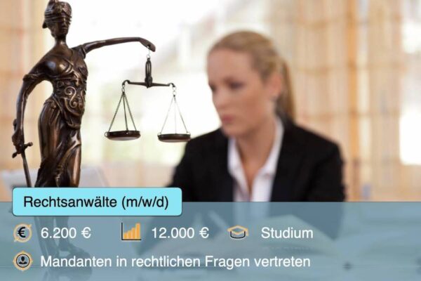 Rechtsanwälte : Einstieg, Aufstieg, Einkommen