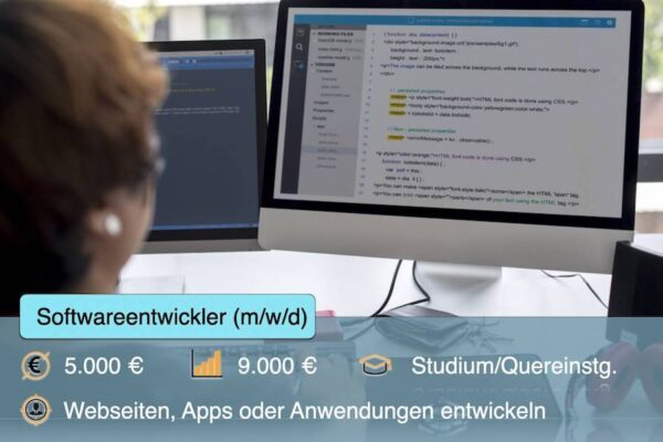 Softwareentwickler : Einstieg, Aufstieg, Einkommen
